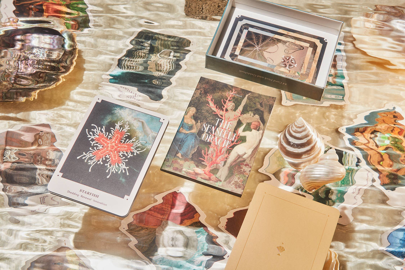 Seashell Tarot Deck: 44 Card Deck and Guidebook - Gather Goods Co.