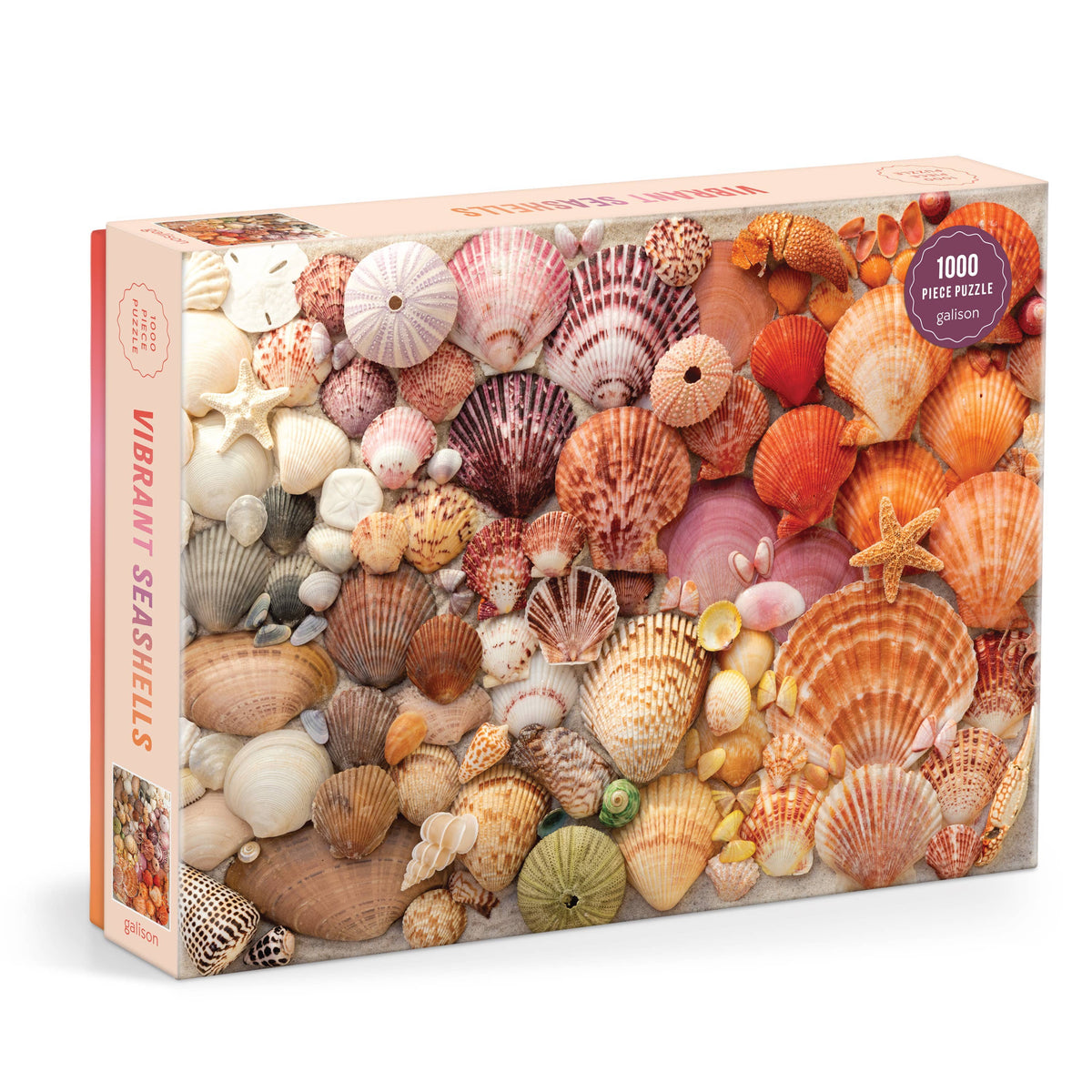 Vibrant Seashells 1000 Piece Puzzle – Gather Goods Co.