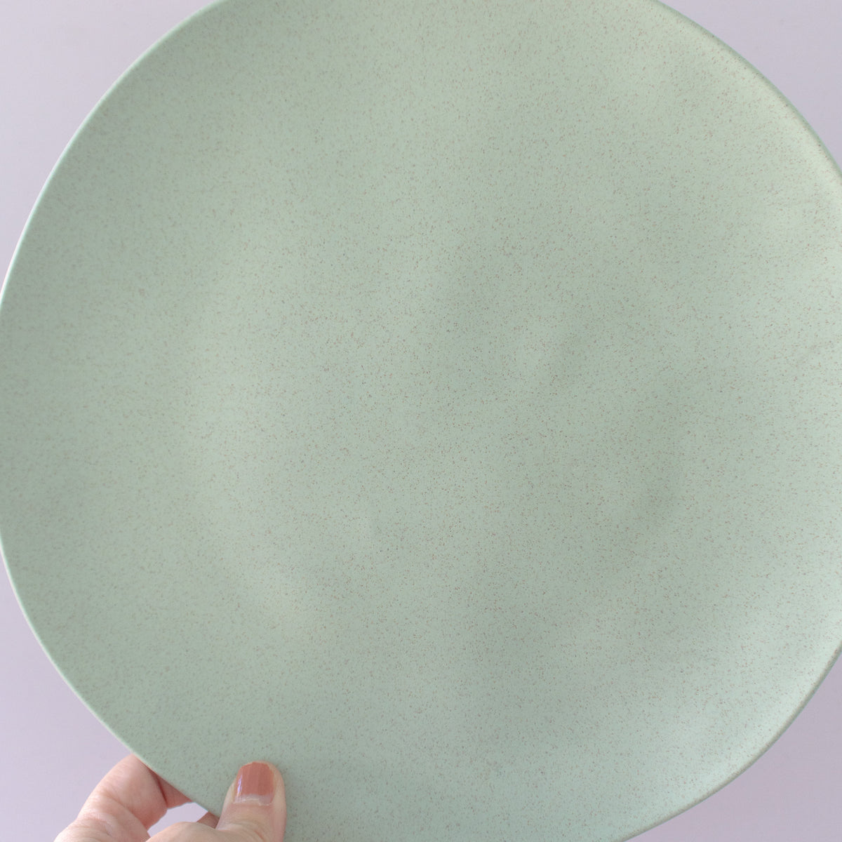 Sage Green Wheat Straw Dinner Plate, 10.5" – Gather Goods Co.