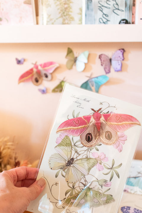 Realistic Moth Wall Decor, Paper Moths, Set of 3 - Gather Goods Co.