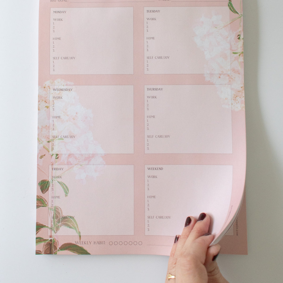 Weekly Planner Pad 8.5 x 11 – Goal Setting & Habit Tracker with Hydran ...