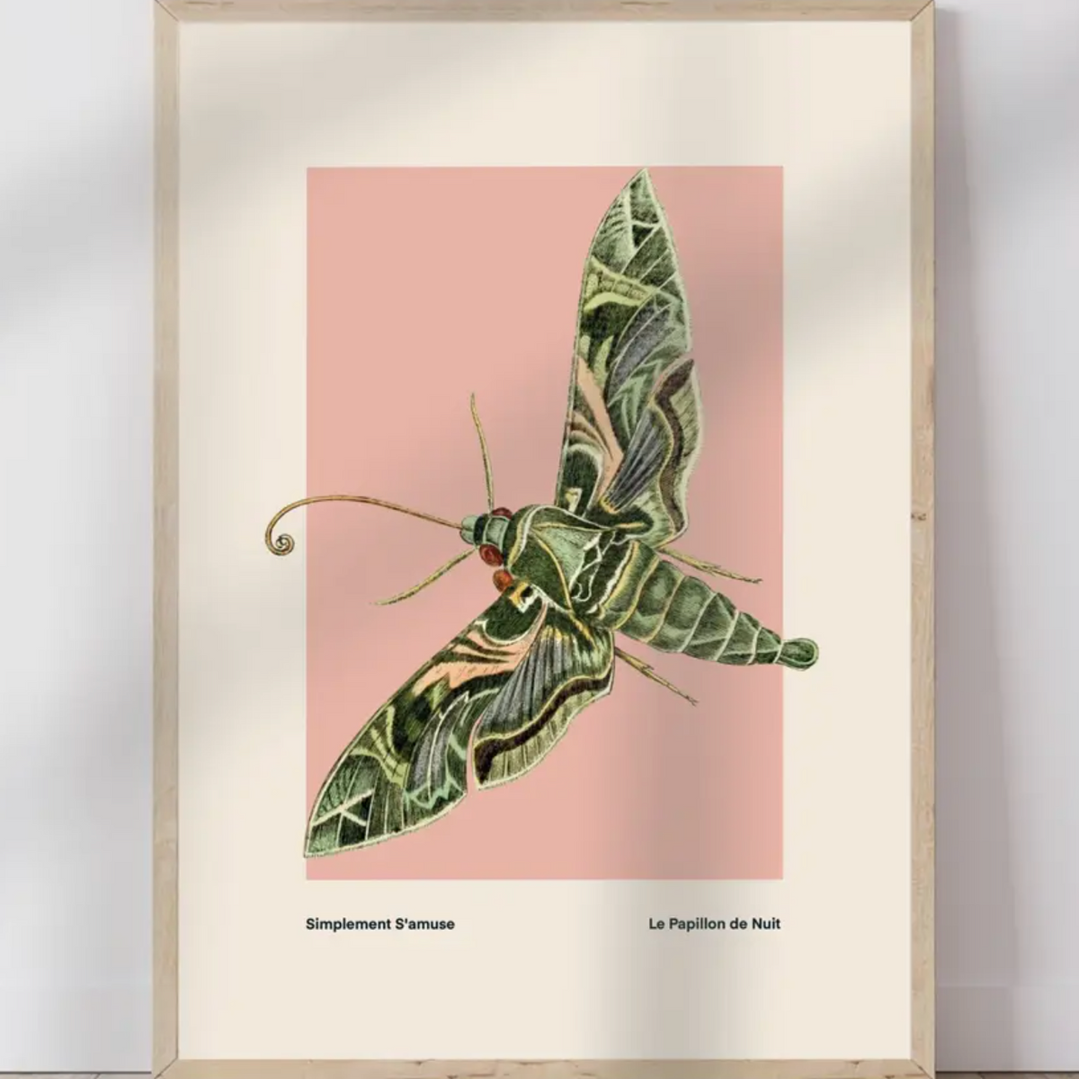 Pink & Green French Vintage Moth Poster – Gather Goods Co.